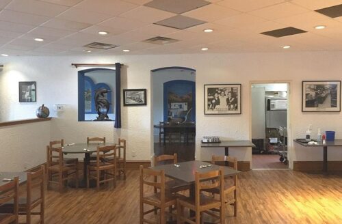 The Blue Dolphin – Dolphin